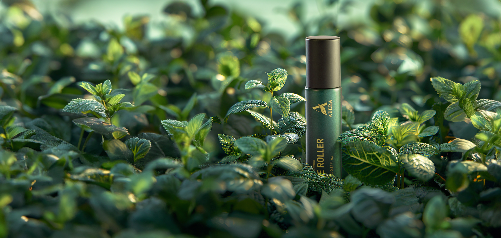 Abera Official Store - abera.ph